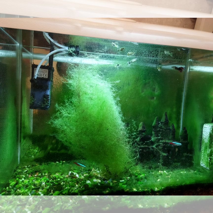 Аквариум с рыбками 28л