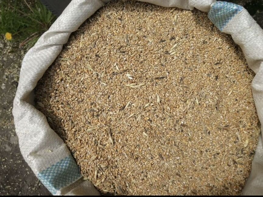 Комбикорм для кур