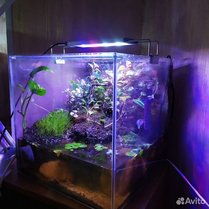 Полюдариум, аквариум