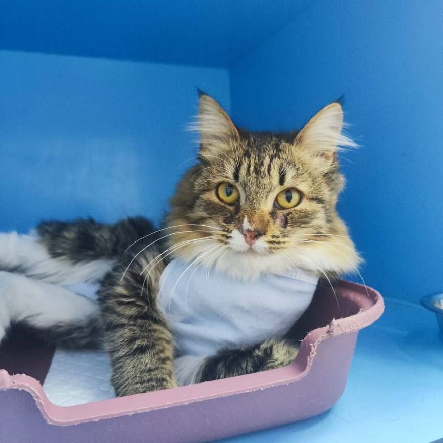 Варенька не хочет на улицу. Мечтает обрести семью