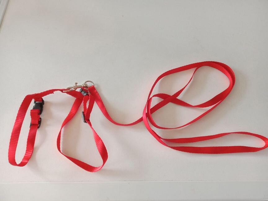 Ошейник для кошек