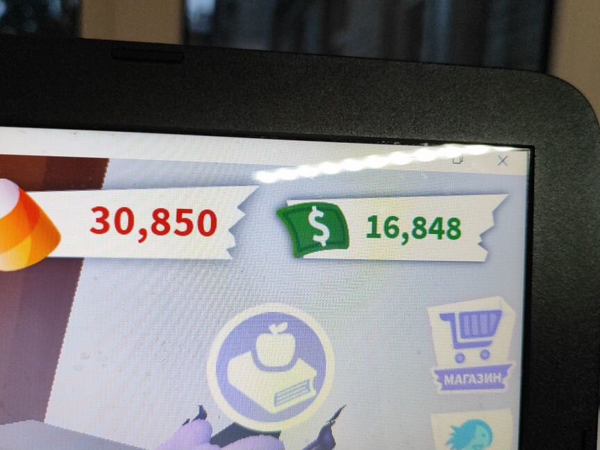 Петы адопт ми