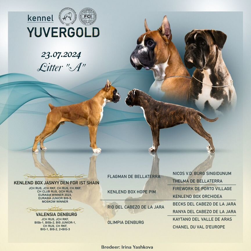 Щенки немецкого боксера