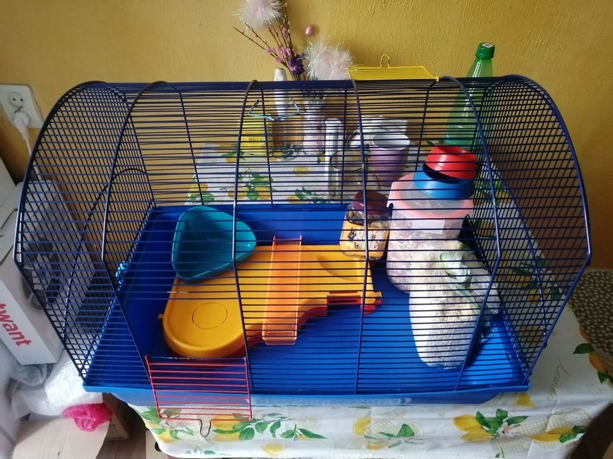 Клетка для грызунов