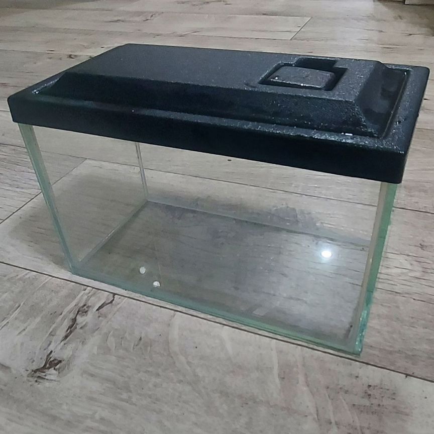 Аквариум для улитки