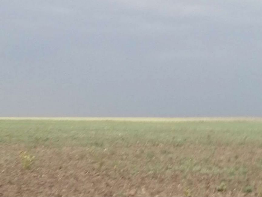 Продам зерно овёс, ячмень