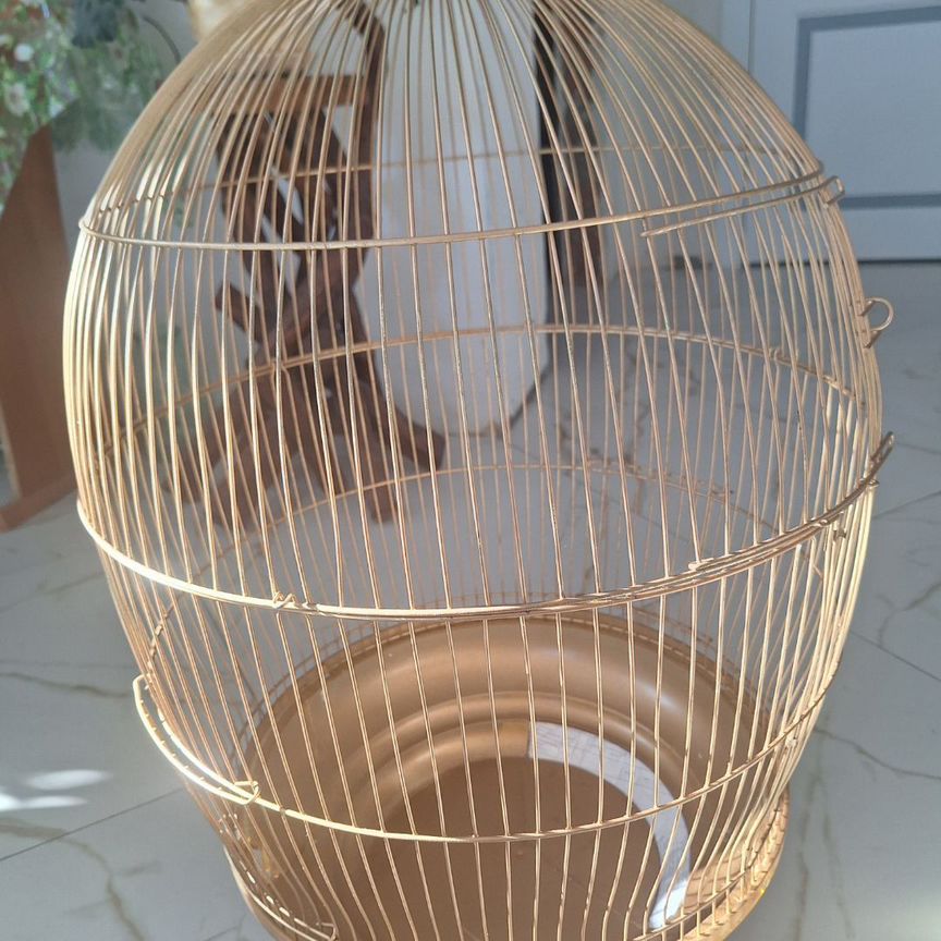 Клетка бесплатно