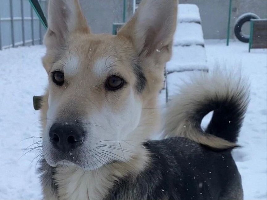 Еве нужен дом