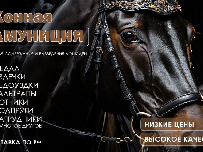 Конная амуниция