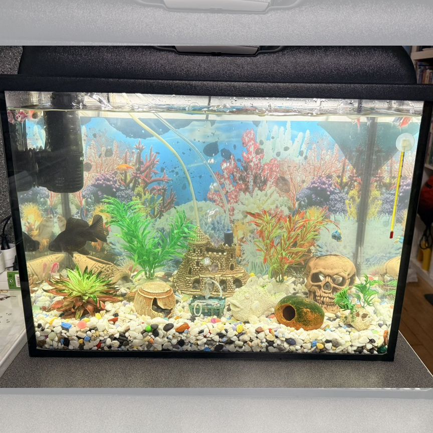 Аквариум с рыбками 60л