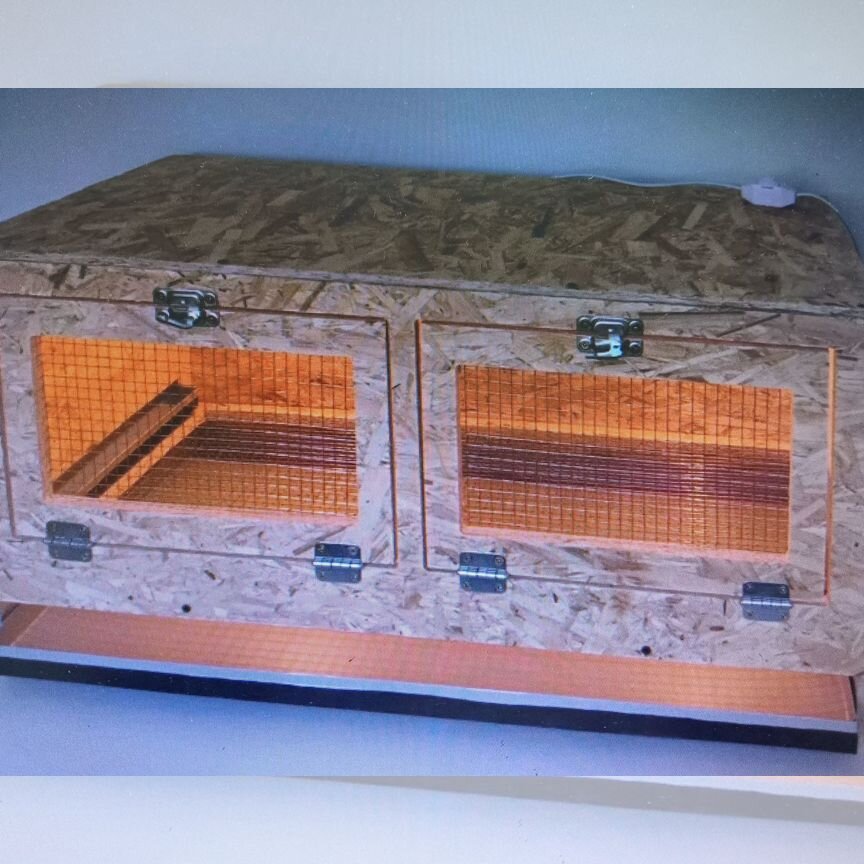 Брудер для птицы