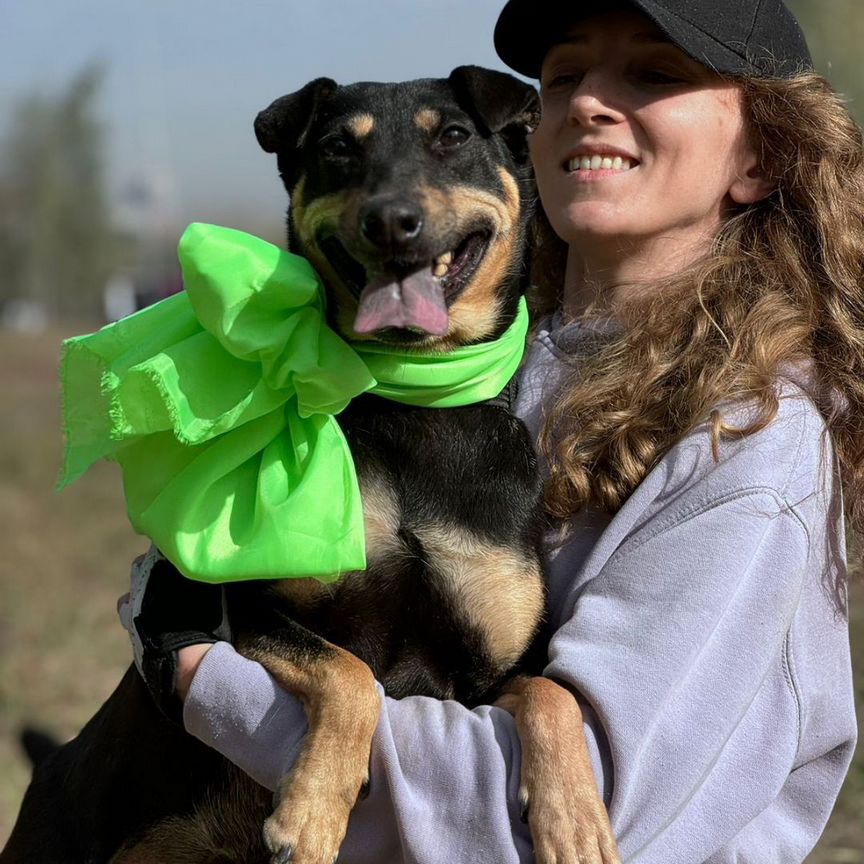 Собака из приюта Цыпа ищет дом