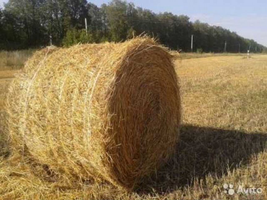 Продам солому в рулонах