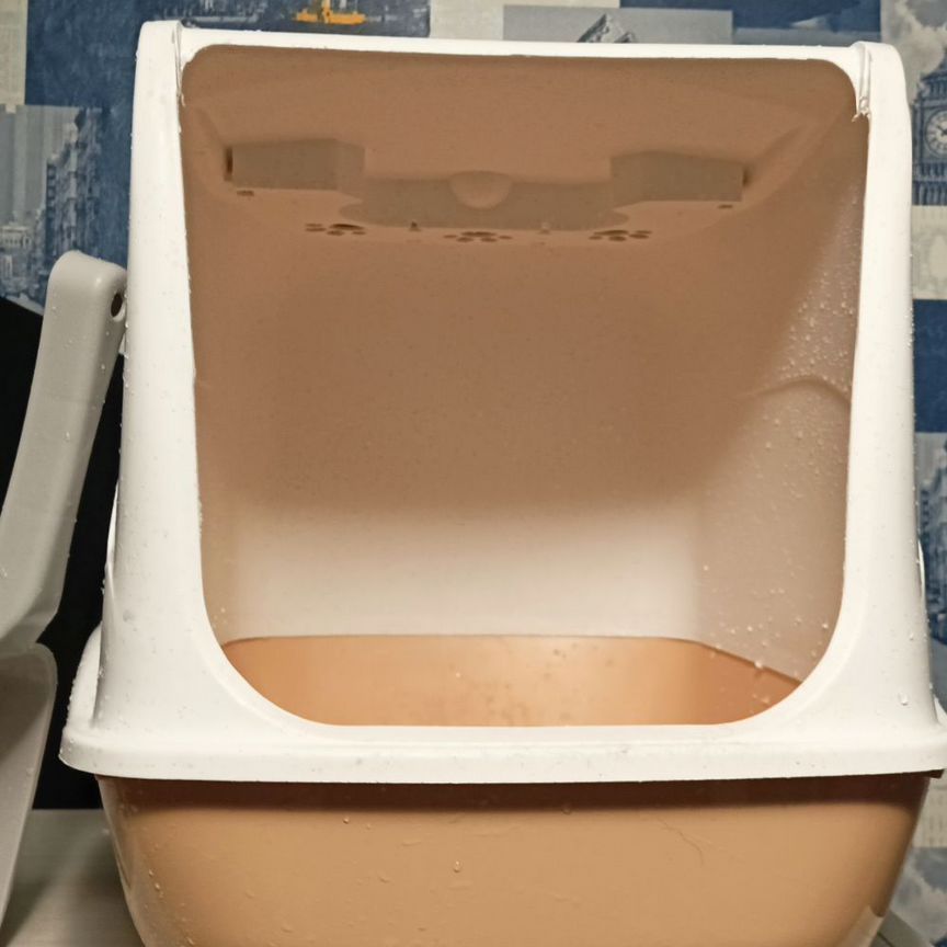 Лото закрытый для кошек