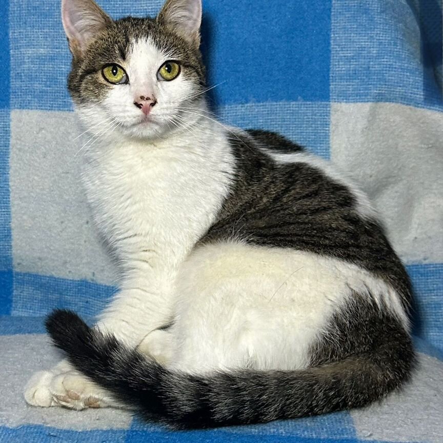 Серафима 4 5 месеца