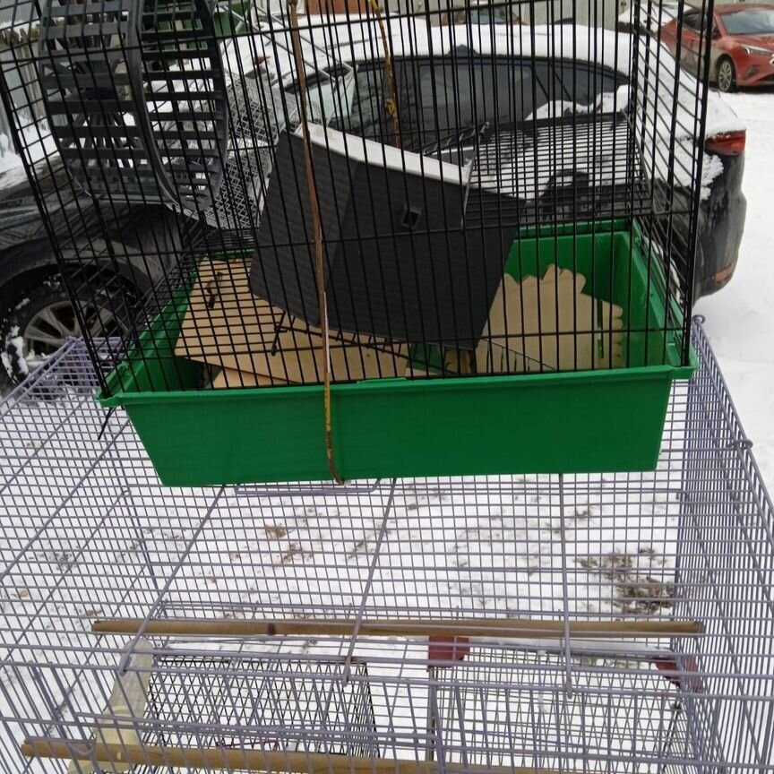 Клетки