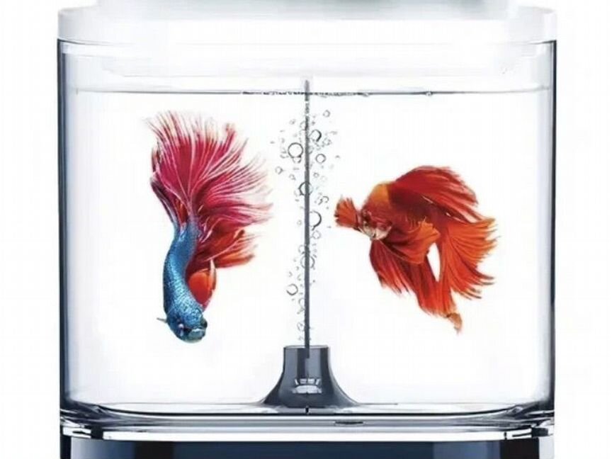 Умный аквариум xiaomi