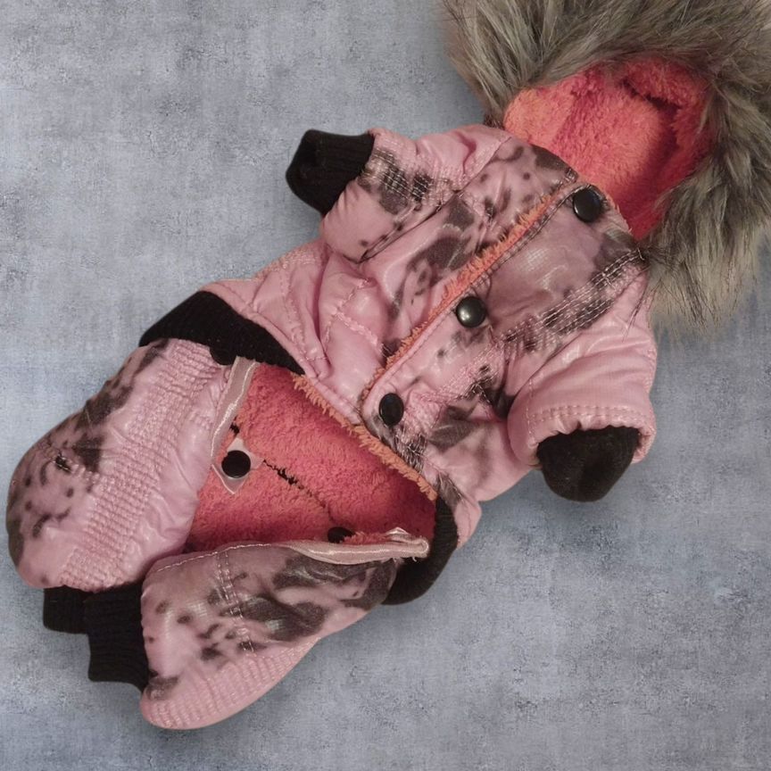 Одежда для маленьких собак