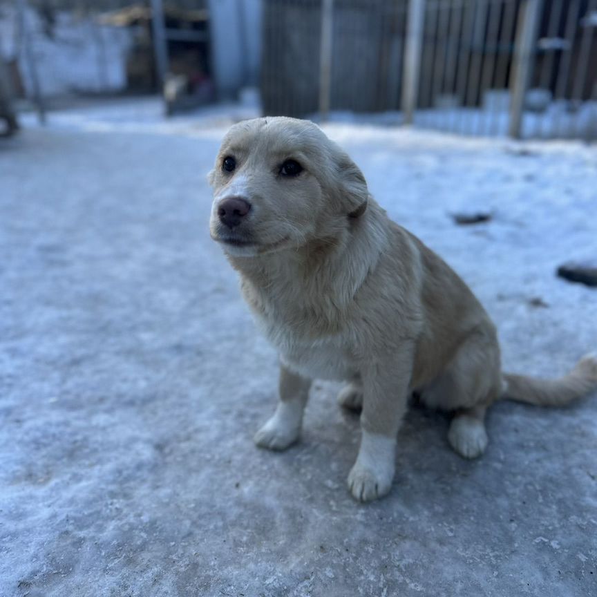Прекрасная девочка 4 месяца