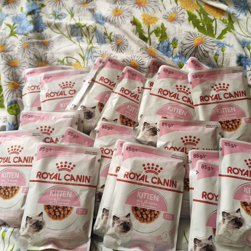 Влажный корм для котят royal canin