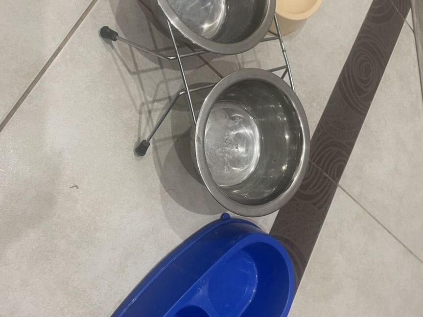 Две миски для кошек