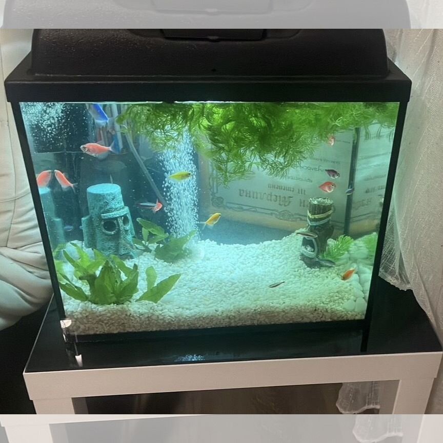 Аквариум с рыбками