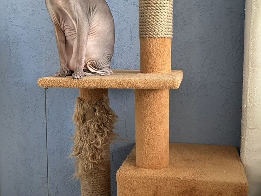 Домик для кошки