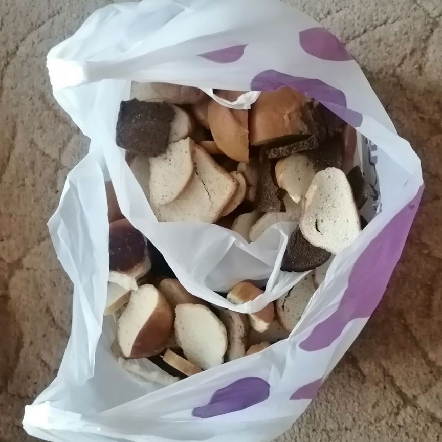 Отдам пакет сухарей