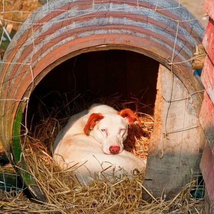 Солома в мешках сено в мешках