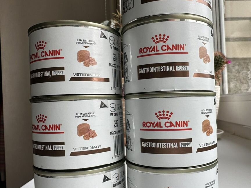 Royal canin gastrointestinal puppy