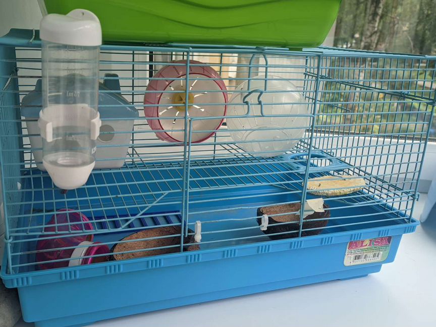 Клетка для грызунов бу
