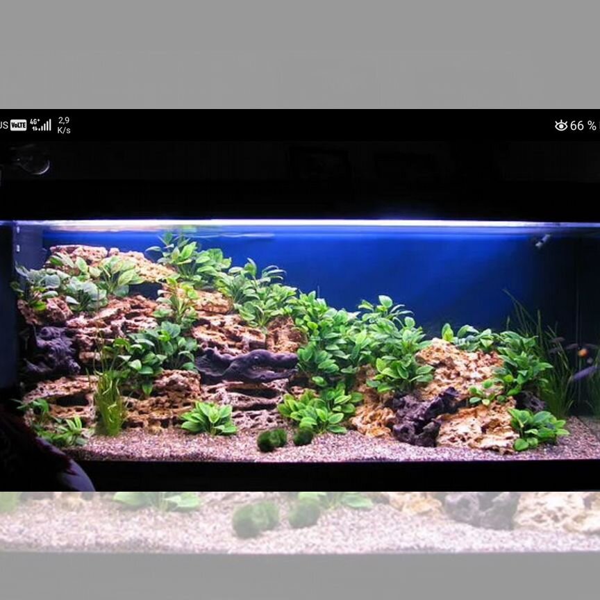 Аквариум 400л производства германия