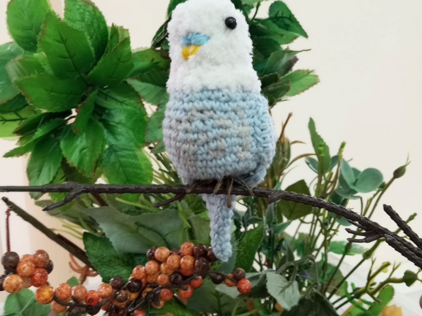 Милый голубой попугайчик