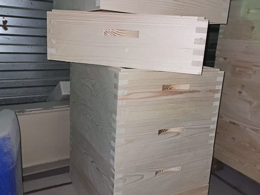 Пчелиный улей