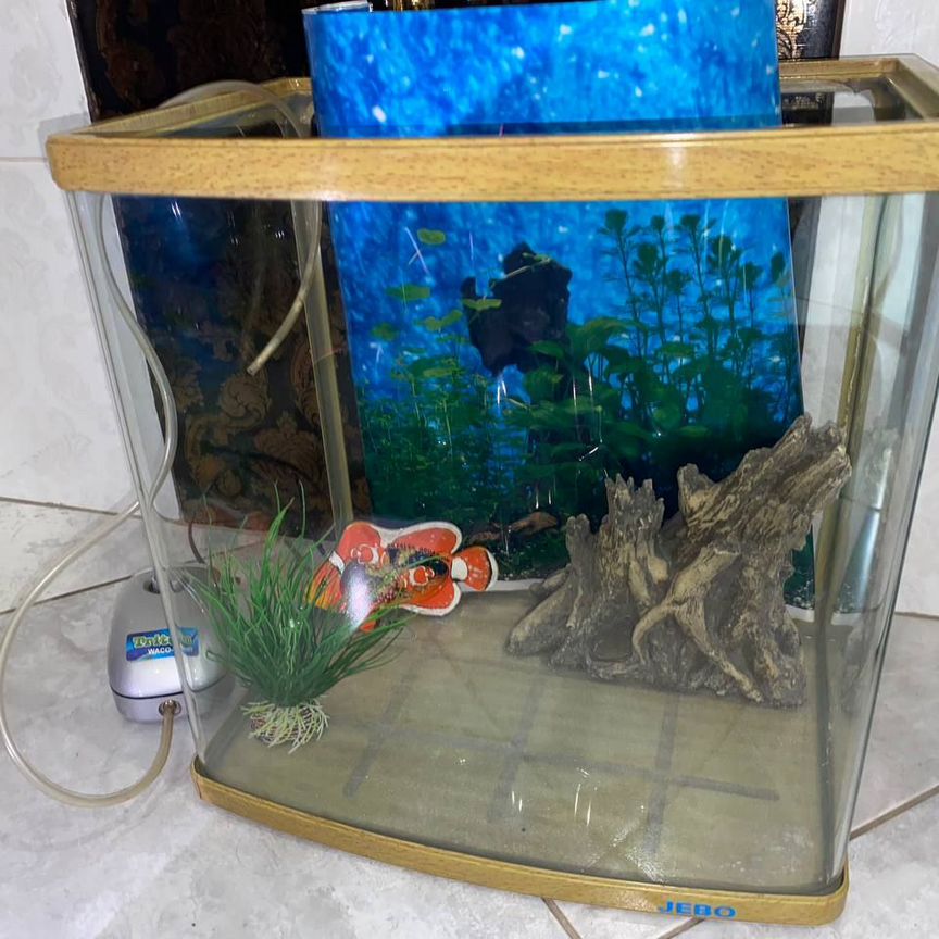 Аквариум с внешним компрессором на 35 литров