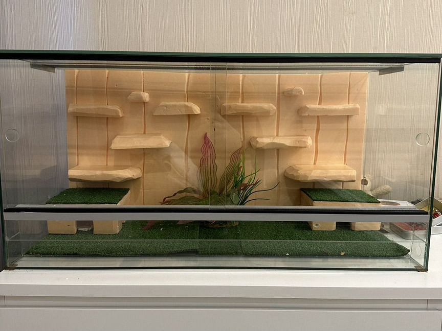 Террариум для эублефара