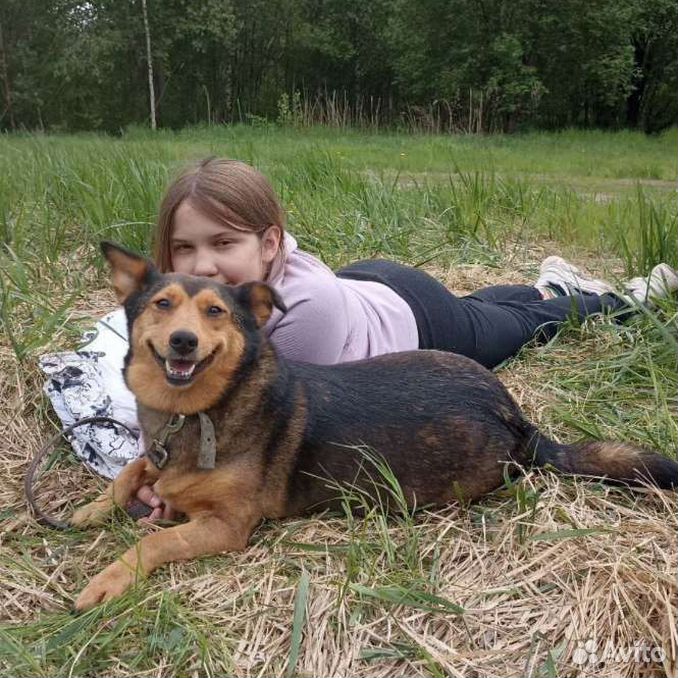 Марфуша ищет дом собака в добрые руки