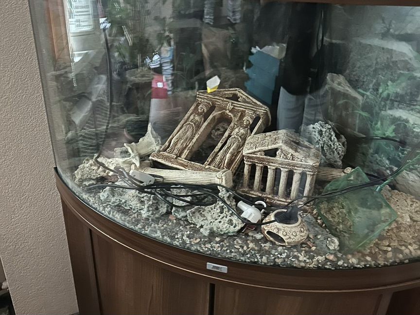 Продам акввриум