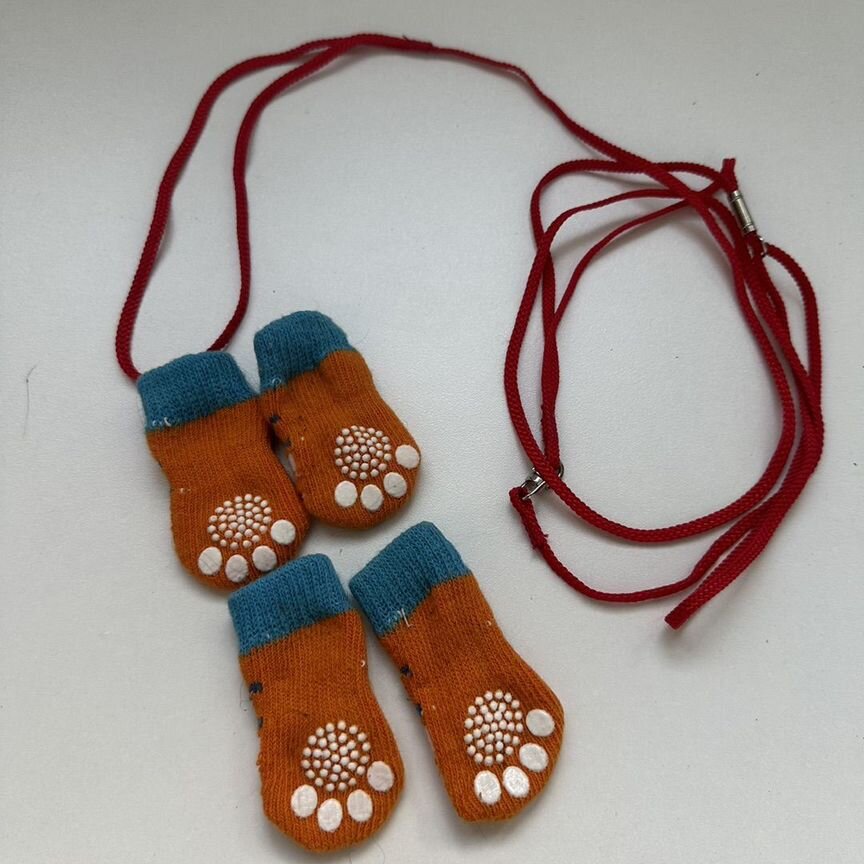 Ринговка для собак