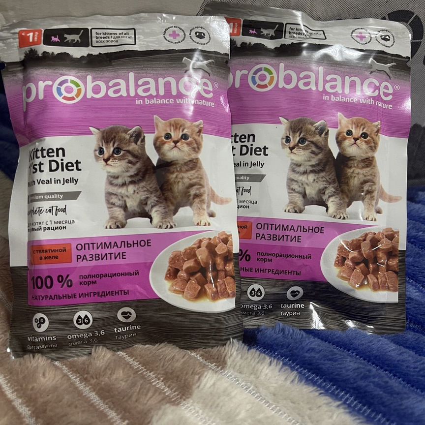 Влажный корм для котят
