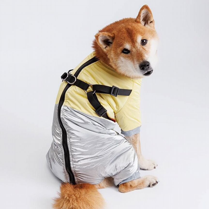 Зимний комбинезон petmax 3xl для девочек