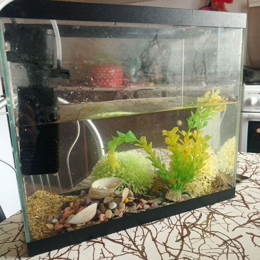 Аквариум 10 л