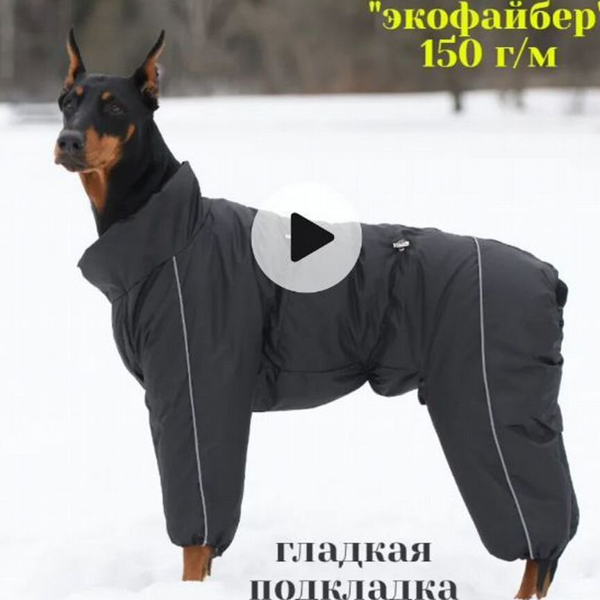 Одежда для собак средних