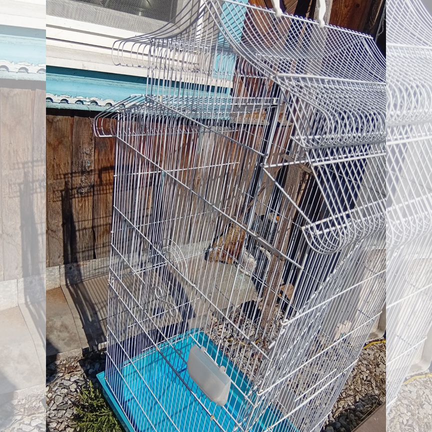 Клетка для птиц большая