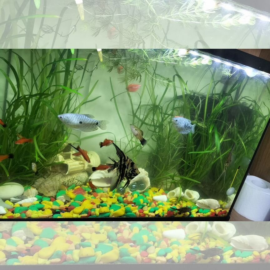 Продам аквариум