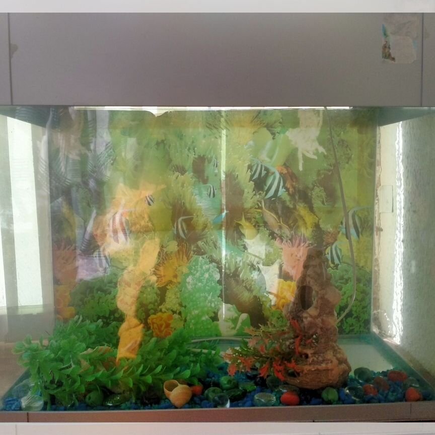 Аквариум