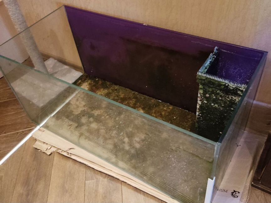 Аквариум без тумбы