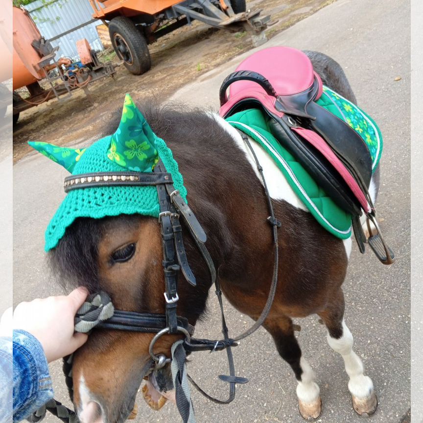 Комплект на пони