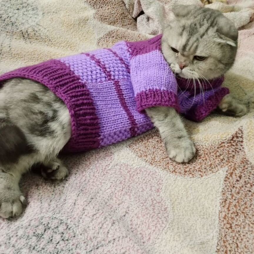 Кофточки для кошек и собачек