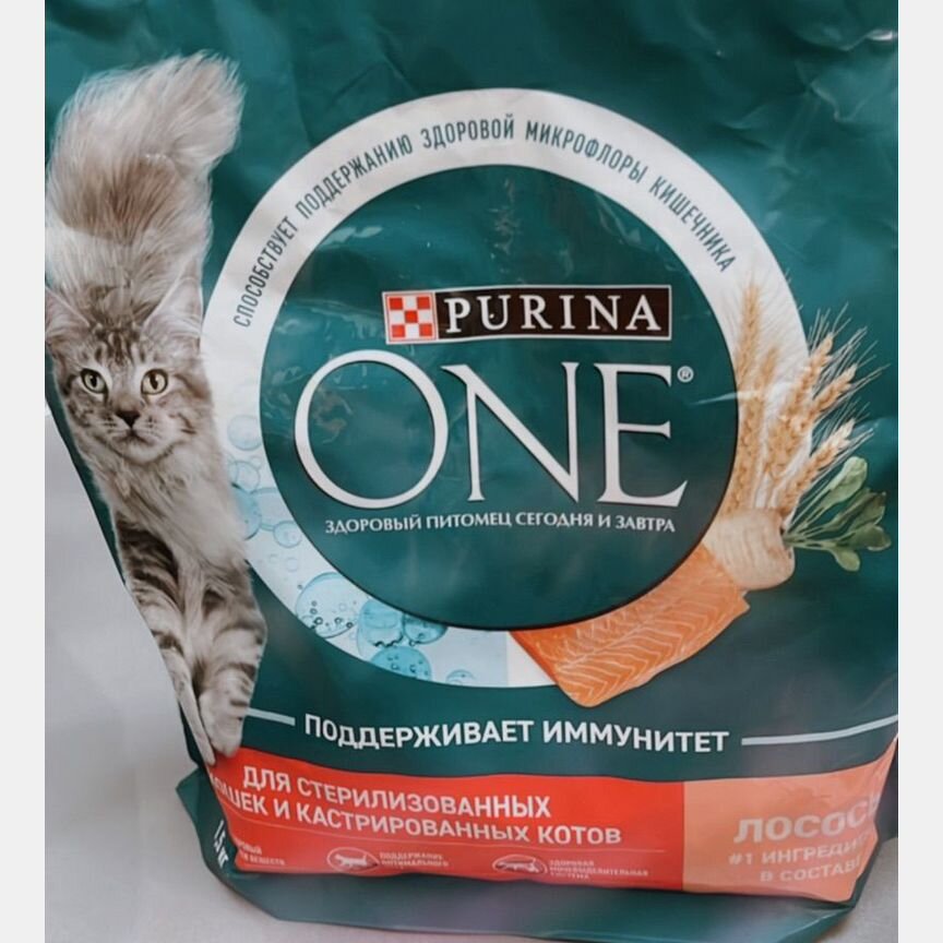 Корм для кошек purina one